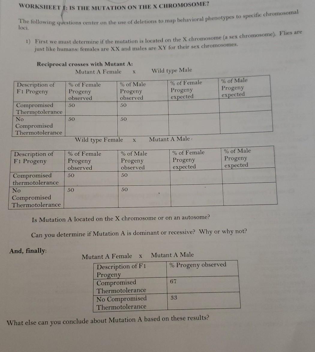 Solved WORKSHEET : IS THE MUTATION ON THE X CHROMOSOME? The | Chegg.com