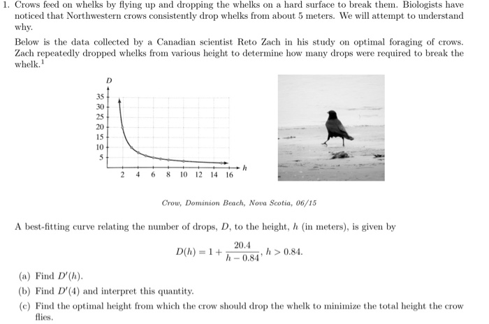 Solved 1. Crows feed on whelks by flying up and dropping the | Chegg.com