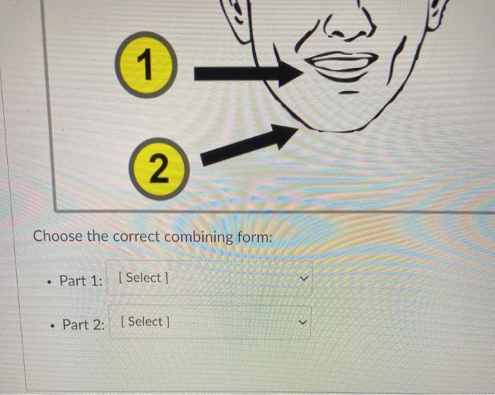 solved-1-2-choose-the-correct-combining-form-1-2-2-choose-chegg