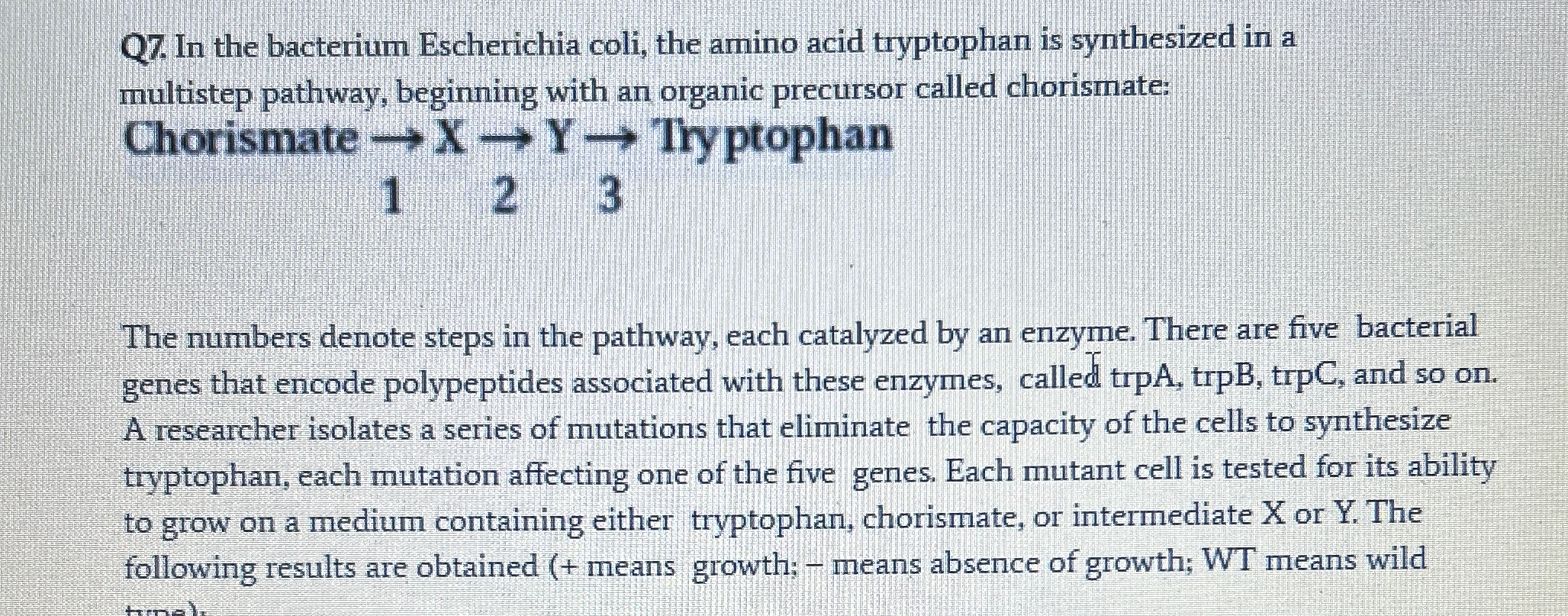 Solved Q7. ﻿In the bacterium Escherichia coli, the amino | Chegg.com