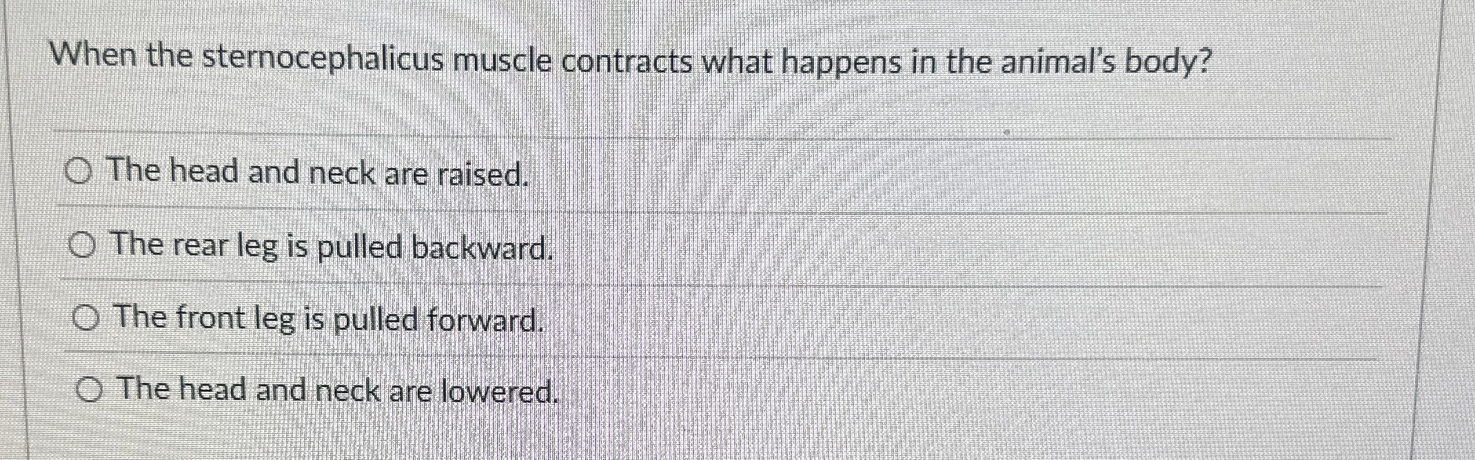 When the sternocephalicus muscle contracts what | Chegg.com