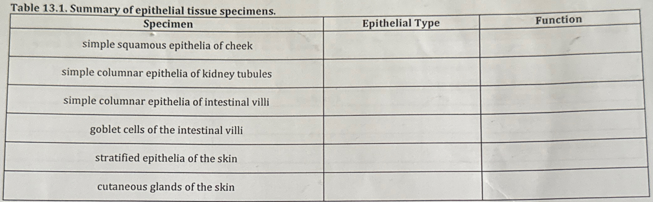 Solved Table 13.1. ﻿Summary of epithelial tissue | Chegg.com