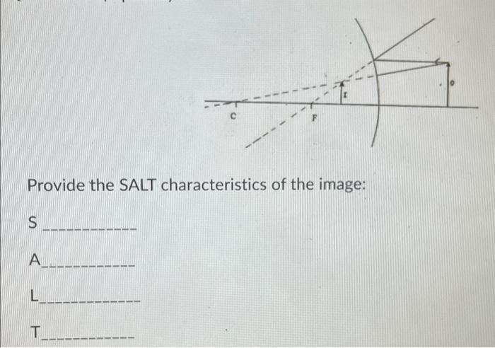 Solved Provide the SALT characteristics of the image: S A | Chegg.com