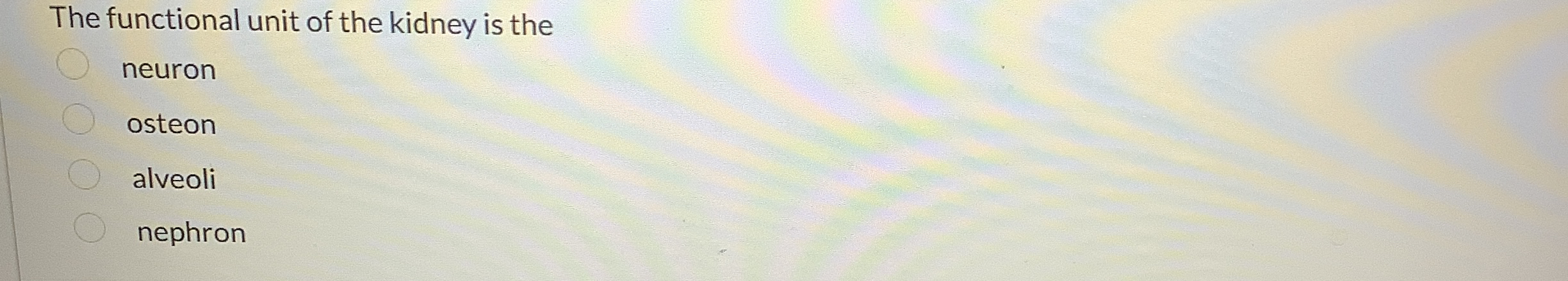 Solved The functional unit of the kidney is | Chegg.com