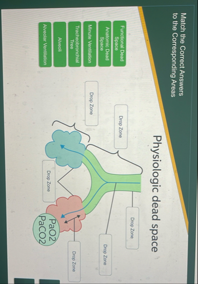 Solved Match the Correct Answers to the Corresponding | Chegg.com