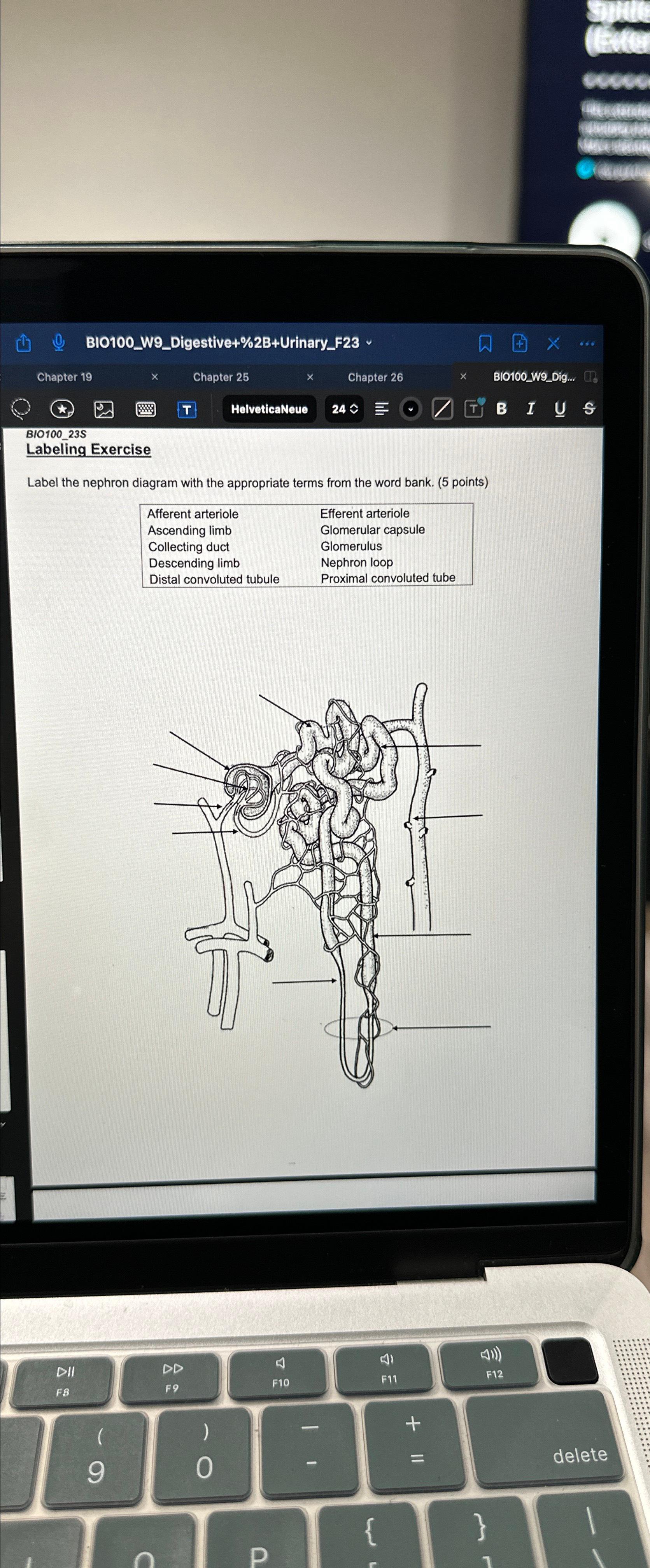 Solved Label exercise | Chegg.com