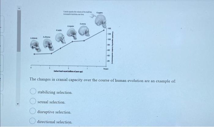 Solved M A $$ tattoo The changes in cranial capacity over | Chegg.com
