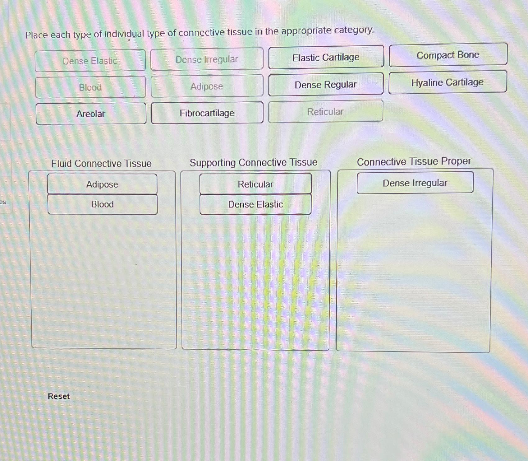 Solved Place each type of individual type of connective | Chegg.com