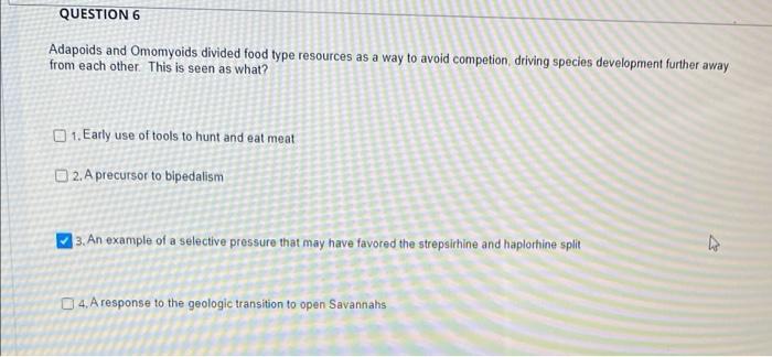 QUESTION 6 Adapoids and Omomyoids divided food type | Chegg.com