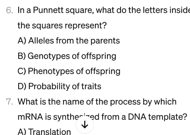 Solved In a Punnett square, what do the letters insid the | Chegg.com