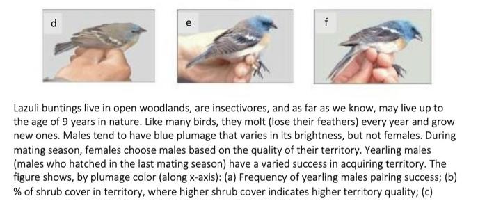 Solved Lazuli buntings live in open woodlands, are | Chegg.com