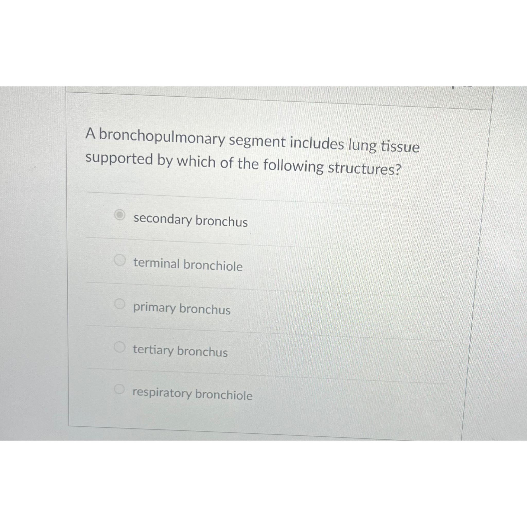 Solved A bronchopulmonary segment includes lung tissue | Chegg.com
