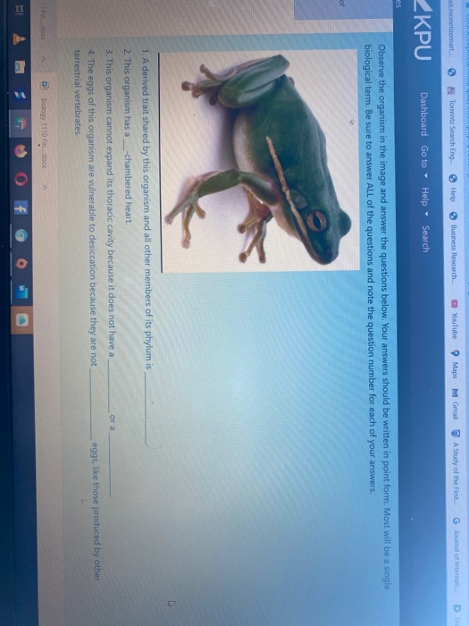 Solved Torrent Search Eng. bot monetizemart.... Help | Chegg.com
