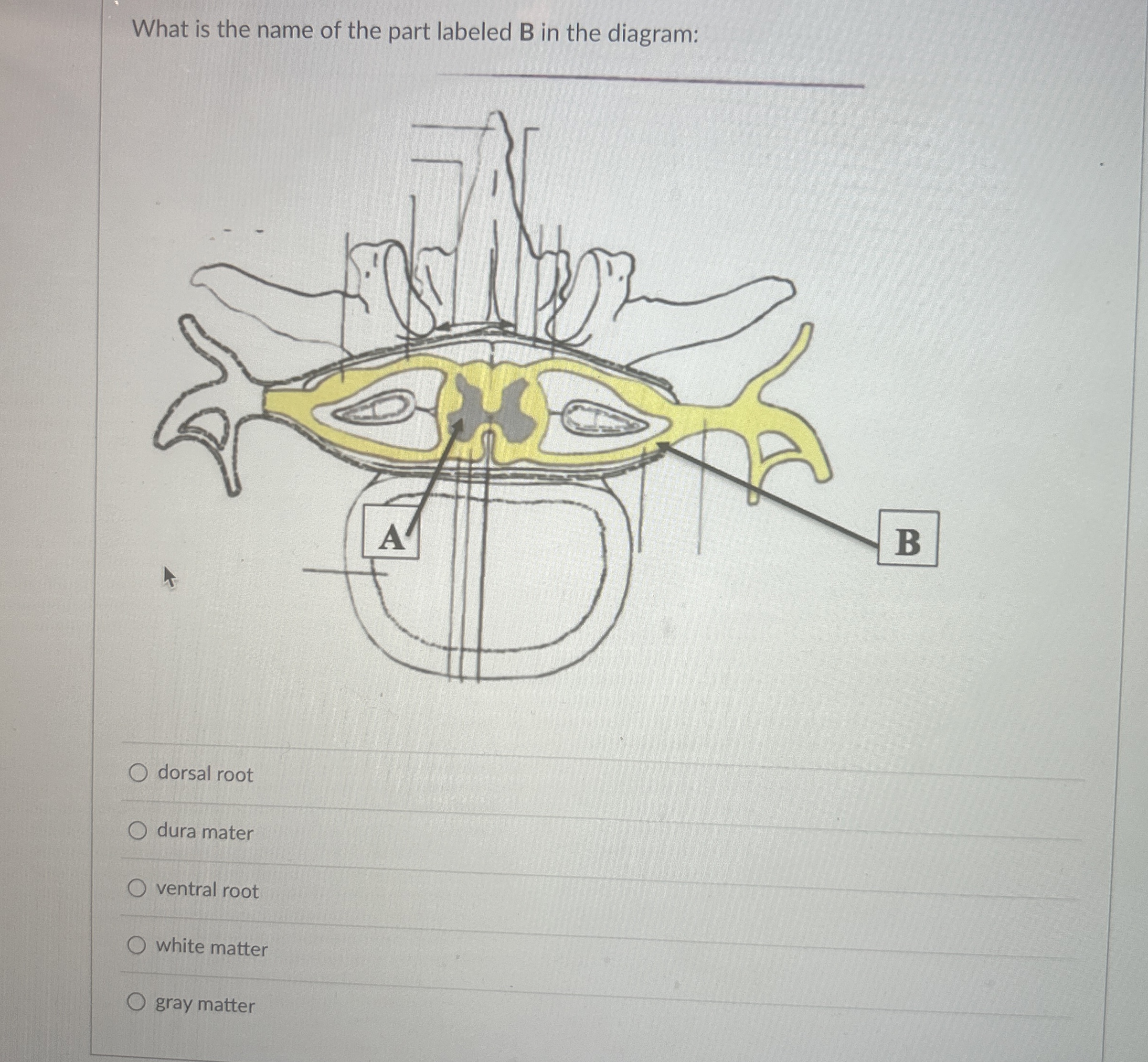 Solved What is the name of the part labeled B ﻿in the | Chegg.com