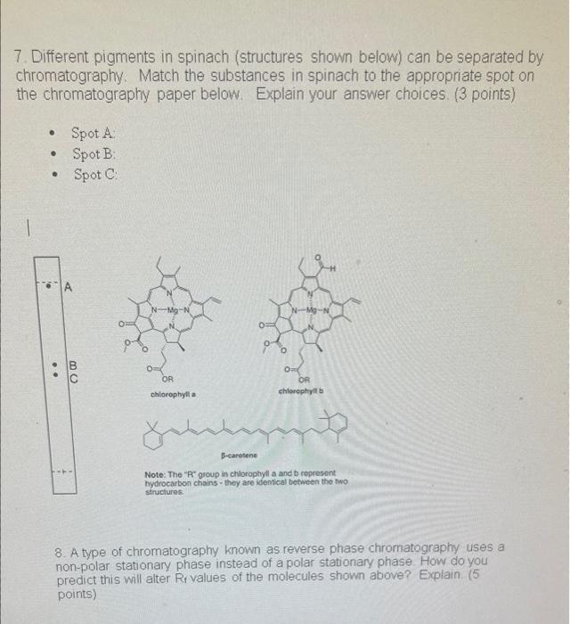 Solved 7. Different pigments in spinach (structures shown | Chegg.com