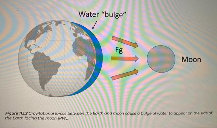 Water “bulge" Fg Moon Figure 11.1.2 Gravitational | Chegg.com