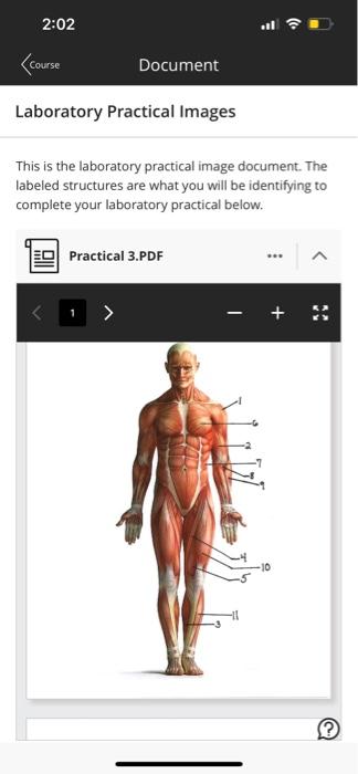 Solved Laboratory Practical Images This is the laboratory | Chegg.com