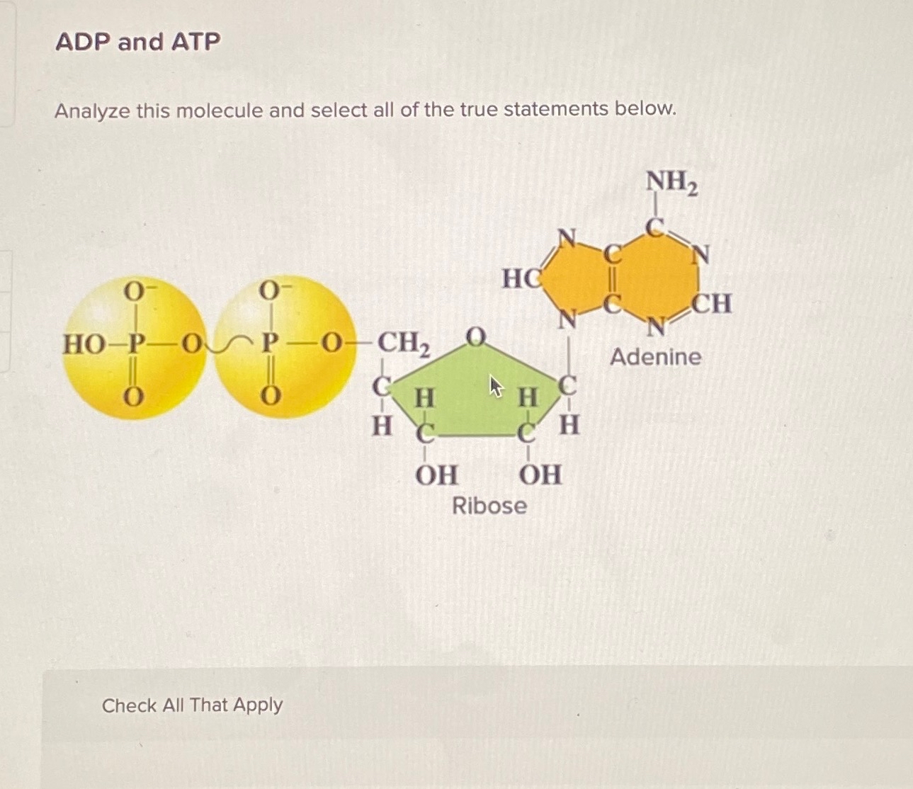 Solved ADP and ATPAnalyze this molecule and select all of | Chegg.com