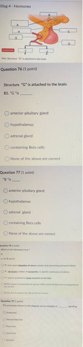Solved Dag 4 - Hormones M E Question 76(1 point) Structure | Chegg.com