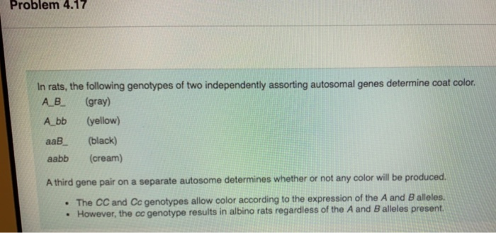 Solved in rats, the following genotypes of two independently | Chegg.com