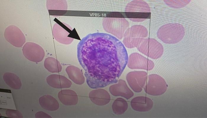can you tell me please what is this exactly?? is it | Chegg.com