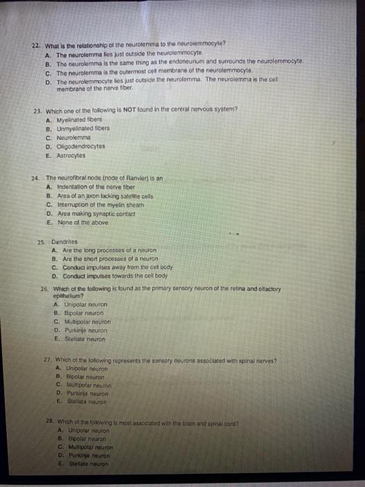 Solved 22. What is the relationship of the neurolemma to the | Chegg.com