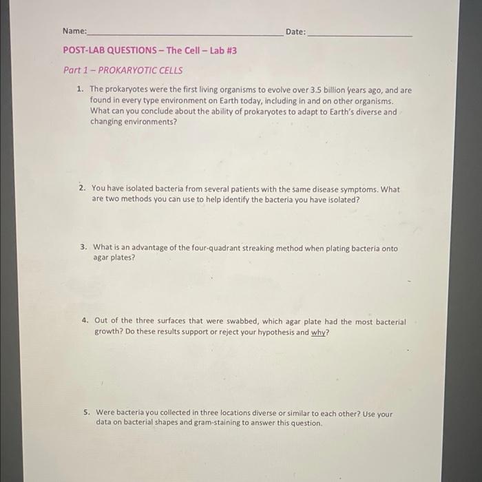 Solved Name: Date: POST-LAB QUESTIONS - The Cell - Lab #3 | Chegg.com