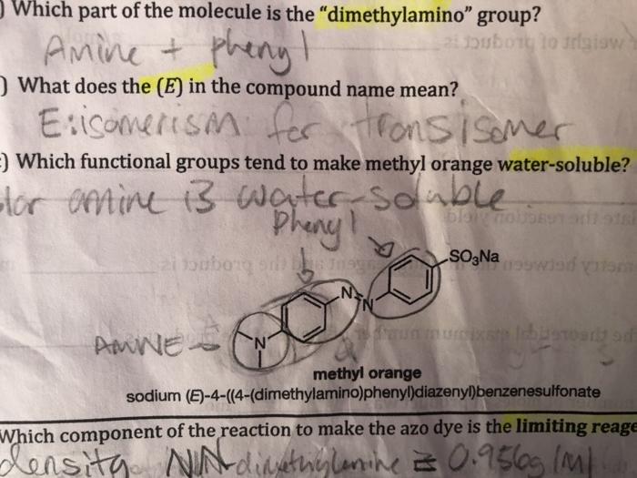 Solved Which part of the molecule is the "dimethylamino" | Chegg.com