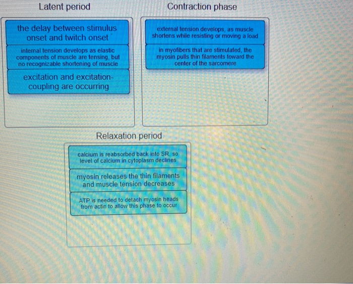 Solved Click and drag to categorize the descriptions into | Chegg.com