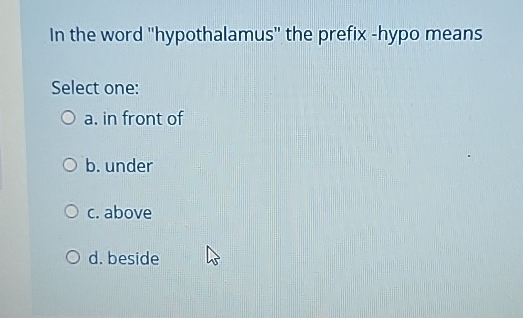 Solved In the word "hypothalamus" the prefix-hypo | Chegg.com