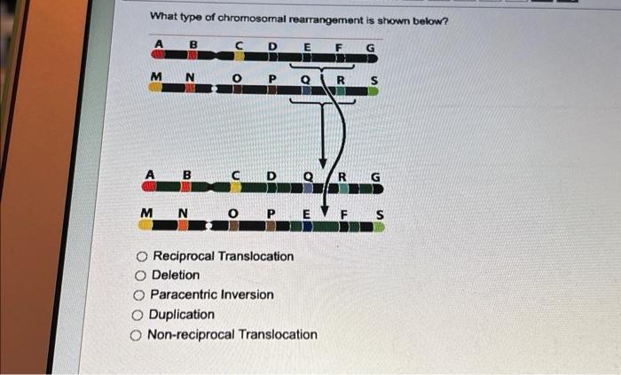 Solved What type of chromosomal rearrangement is shown | Chegg.com