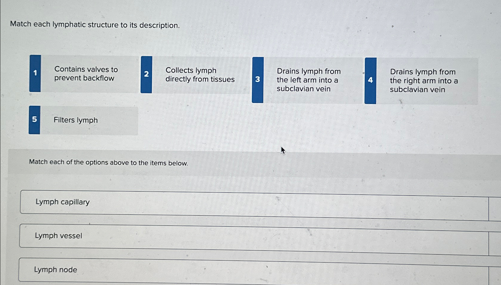 Solved Match each lymphatic structure to its | Chegg.com