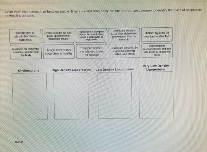 Solved Read each of the statements below Then click and drag | Chegg.com