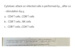 Solved Cytotoxic attack on infected cells is performed by _ | Chegg.com