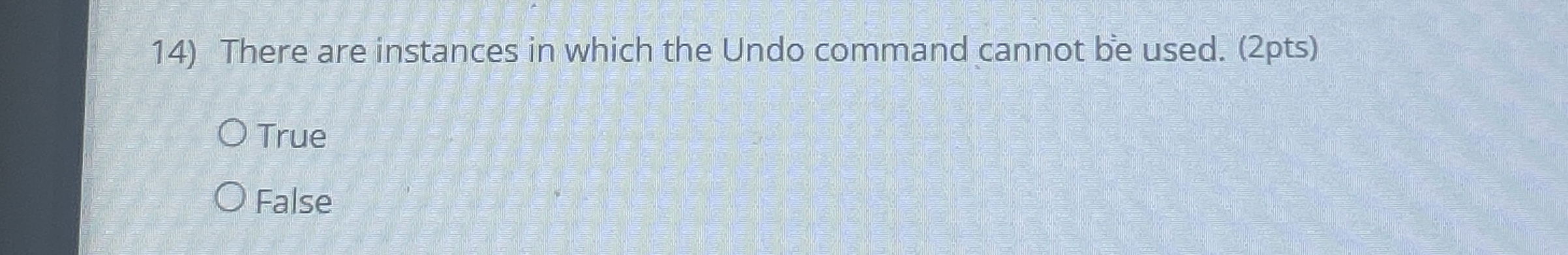 Solved There are instances in which the Undo command cannot | Chegg.com