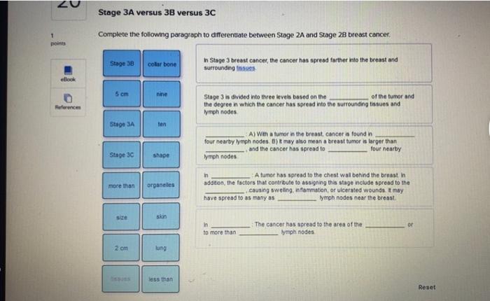 Solved complete the following paragraph to differentiate | Chegg.com