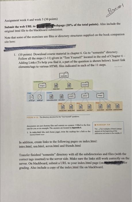 Solved Assignment week 4 and week 5 ( 30 points) Submit the | Chegg.com