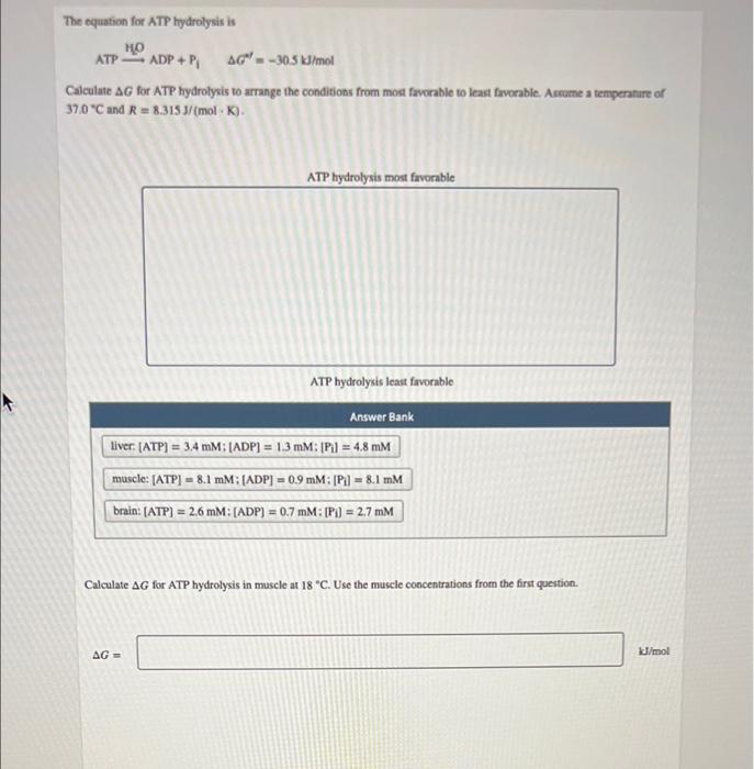 Solved The equation for ATP hydrolysis is HO ATP-ADPP AG" | Chegg.com