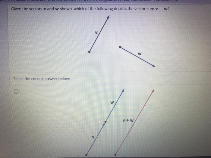 Solved Given the vectors v and w shown, which of the | Chegg.com