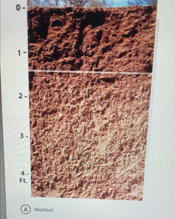 Solved 0- 1 2- 3- 4- Ft. А Mollisol 3 - 4- Ft. A Mollisol | Chegg.com