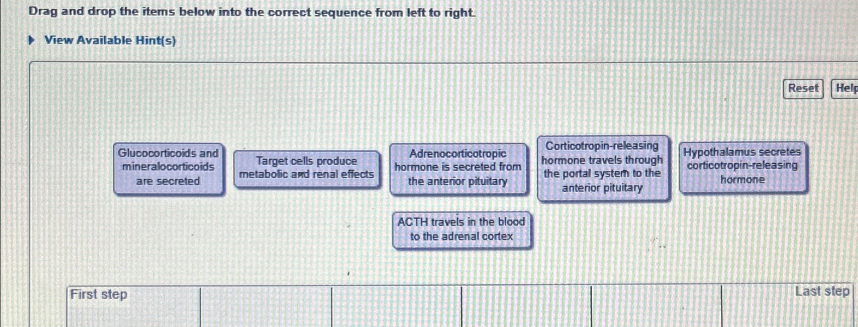 Solved Drag and drop the items below into the correct | Chegg.com