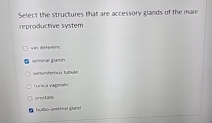 Solved Select the structures that are accessory glands of | Chegg.com