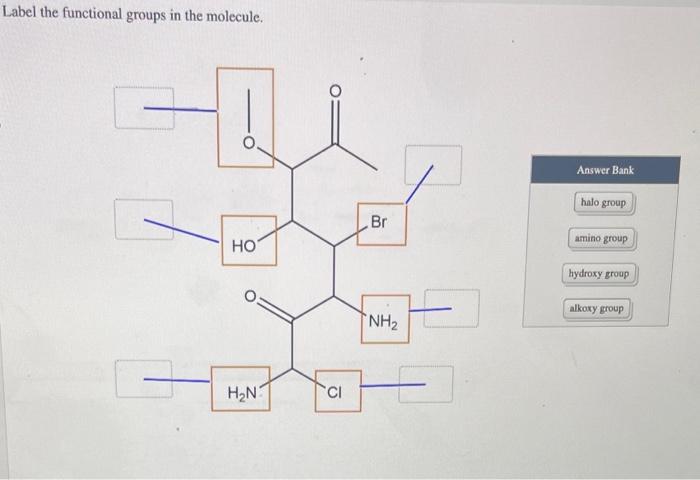 Solved Label the functional groups in the molecule. | Chegg.com