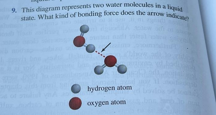 Solved 9. This diagram represents two water molecules in a | Chegg.com