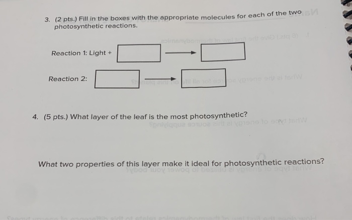 Solved 3. (2 pts.) Fill in the boxes with the appropriate | Chegg.com