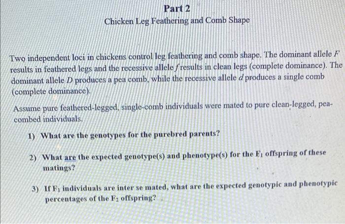 Solved Part 2 Chicken Leg Feathering and Comb Shape Two | Chegg.com