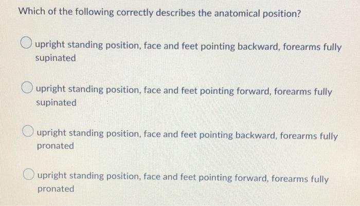 Solved Which of the following correctly describes the | Chegg.com