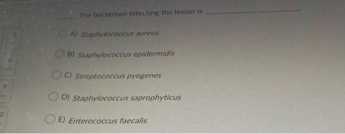 Solved The bacterium infecting the lesion is A) | Chegg.com