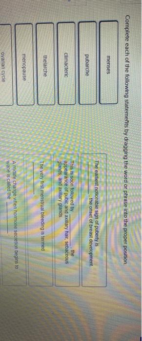 Solved Complete each of the following statements by dragging | Chegg.com