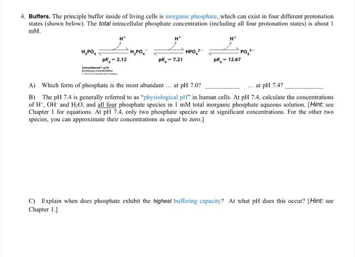 Solved 4. Buffers. The principle buffer inside of living | Chegg.com